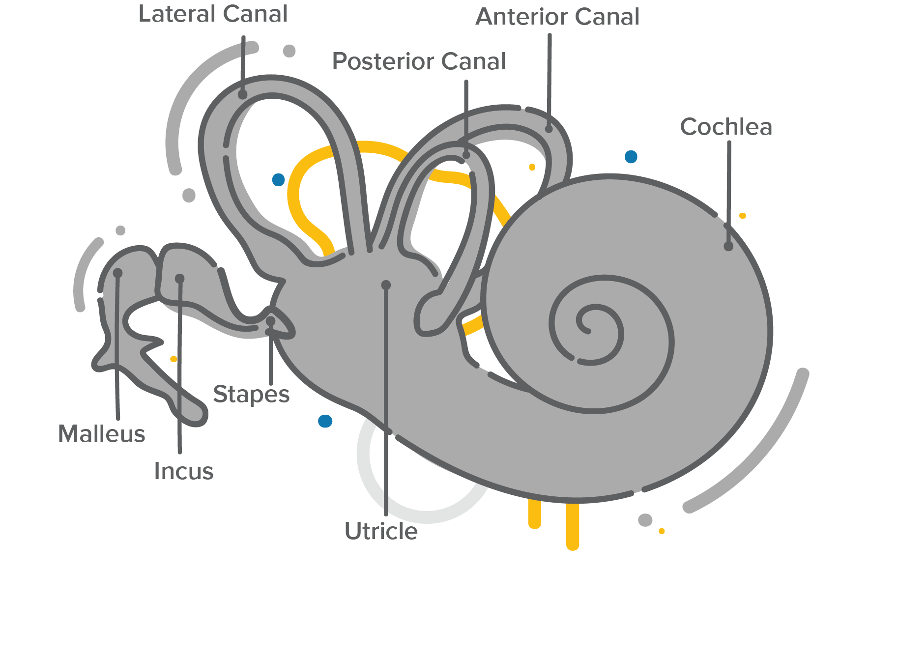 Tinnitus Ringing In Ears VCH Concussion